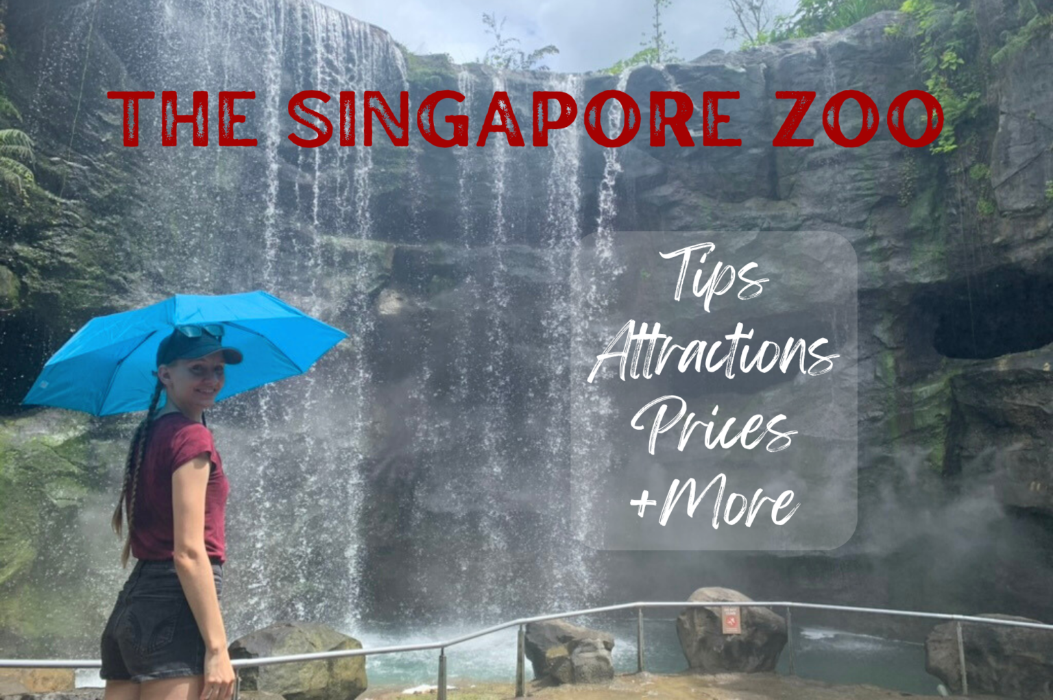 21 Unique Things To Do in Singapore - Strictly Singapore - A Travel Blog